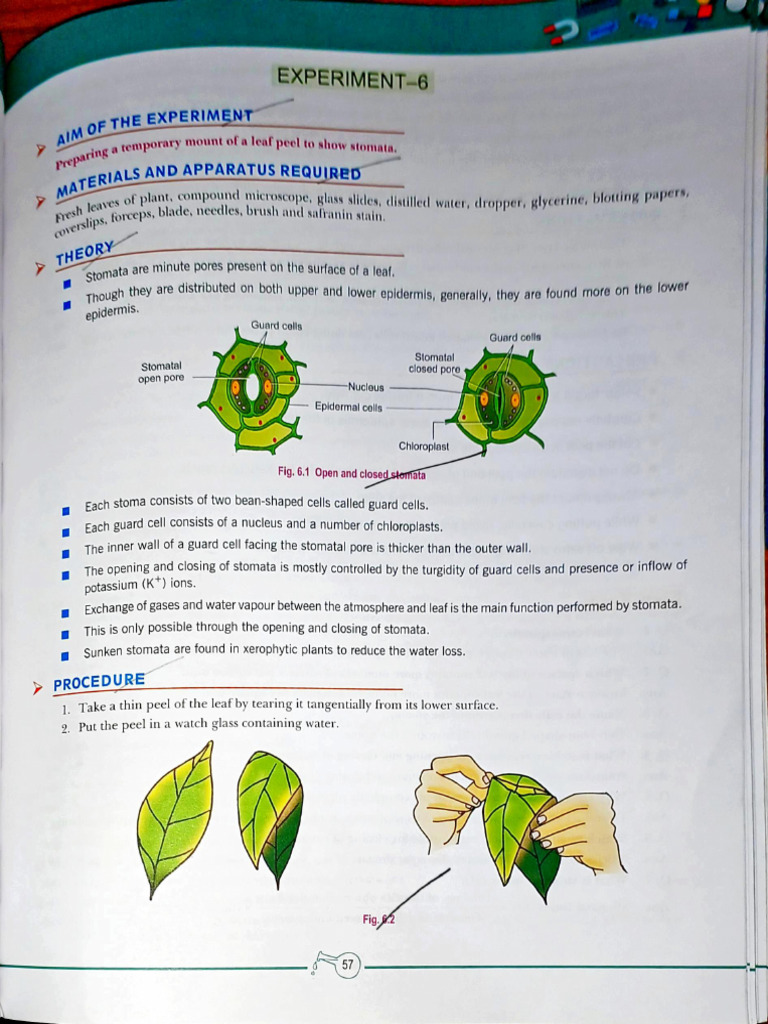 Biology All Practicals | PDF