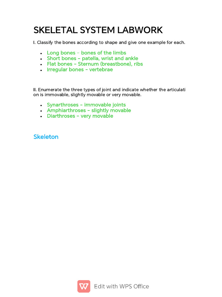 Skeletal System Labwork | PDF