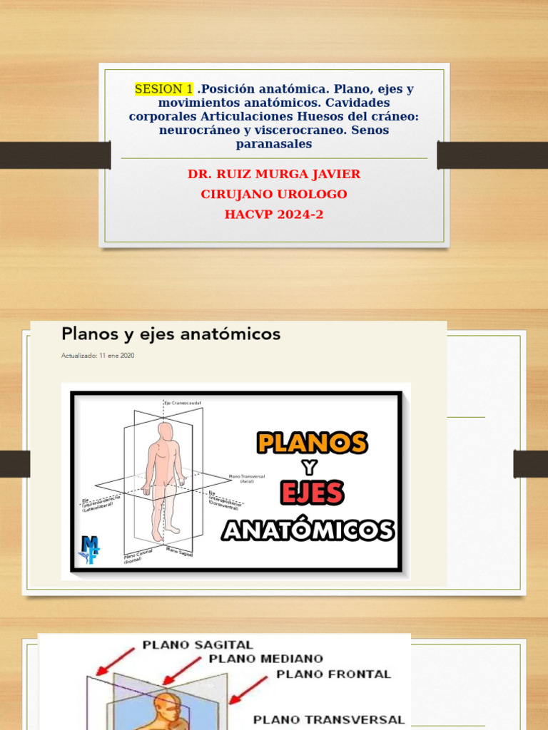 Sesion 1 Ucv Anatomia Pdf
