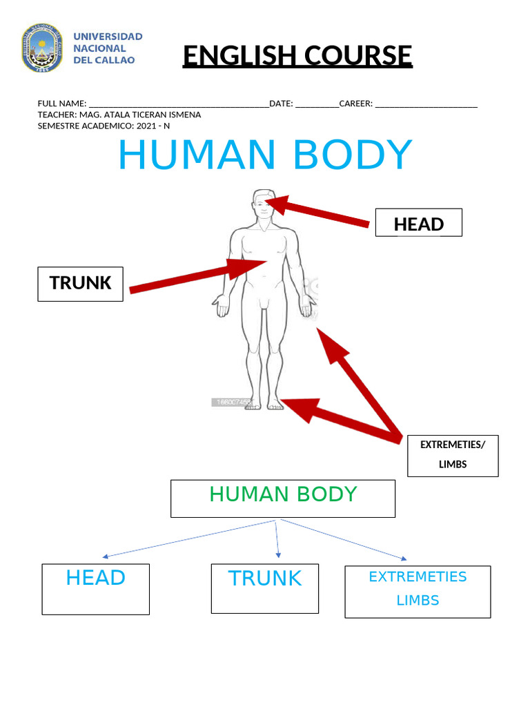 Sesion #1 - Human Body | PDF