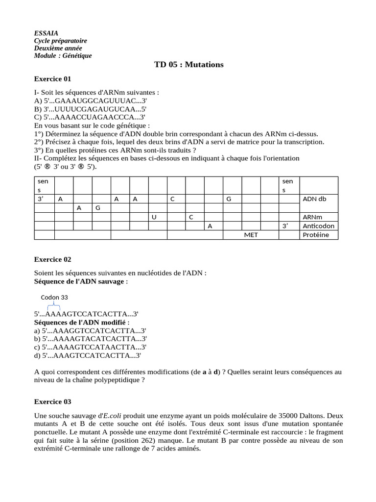 TD 05 Mutations | PDF