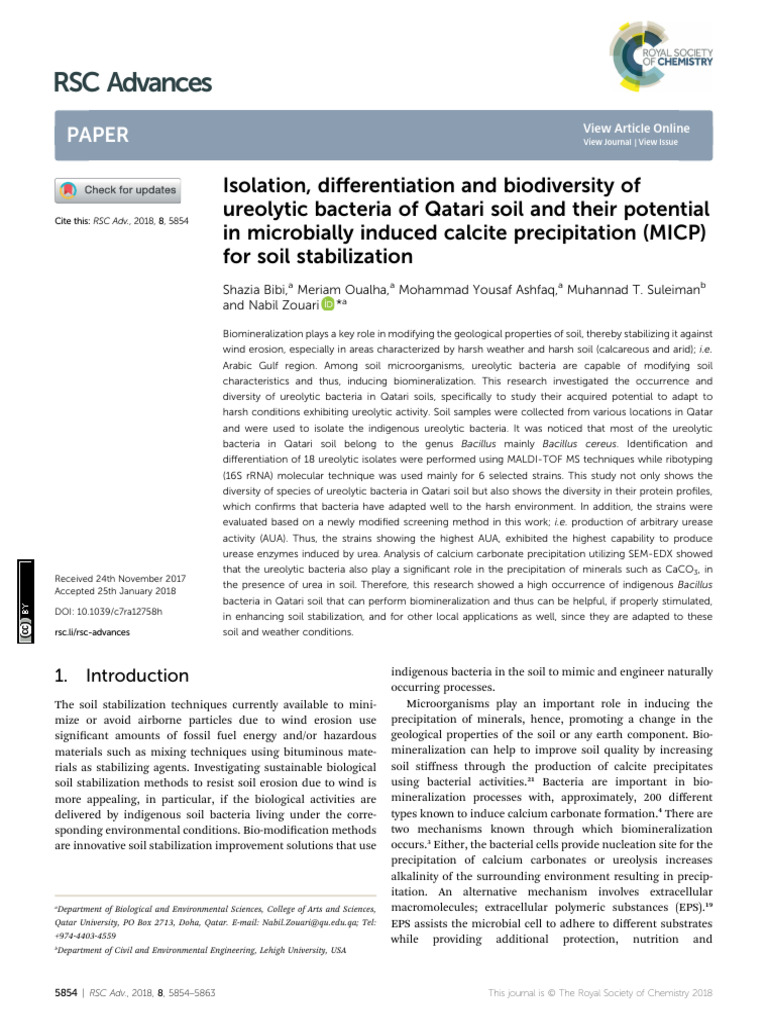 Isolation, Differentiation and Biodiversity of Ureolytic Bacteria of ...