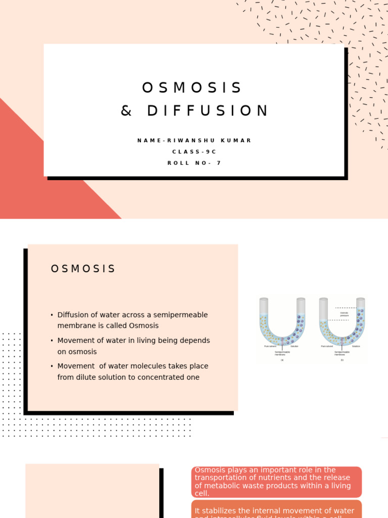 Osmosis & Diffusion | PDF