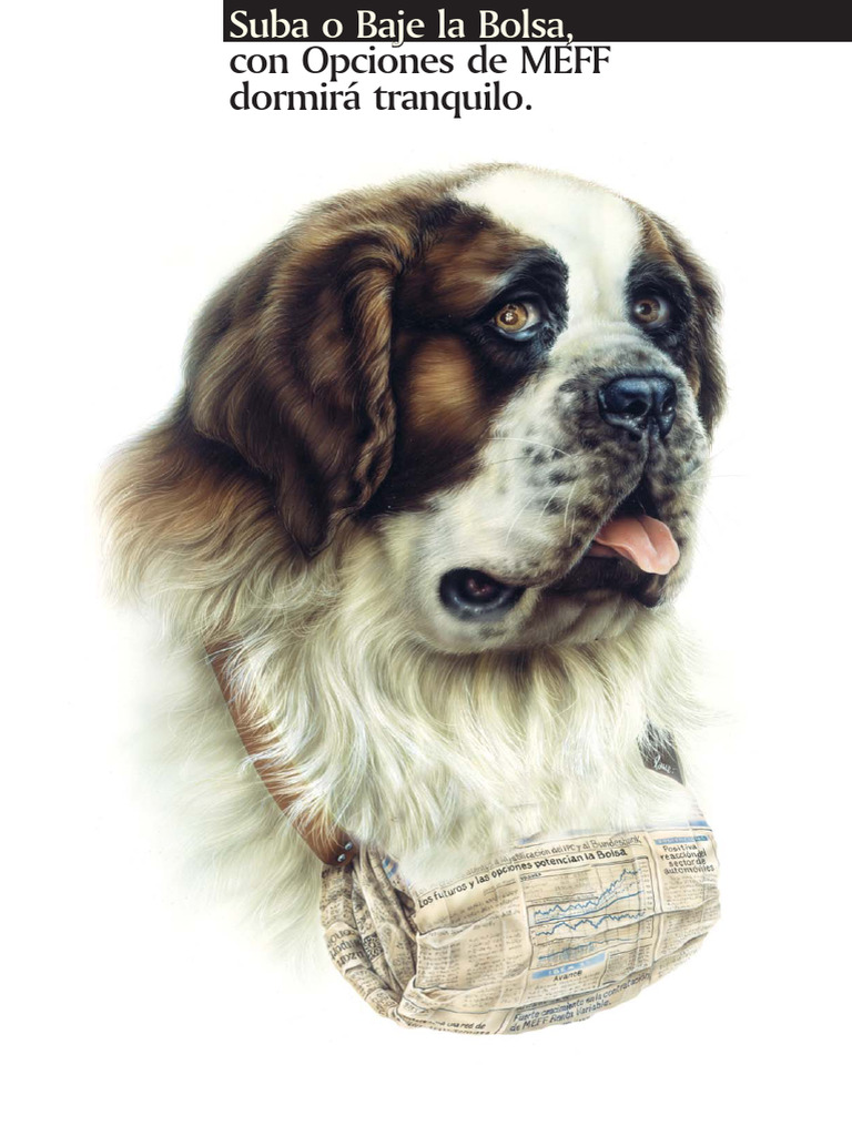 Opciones Bernardo | PDF