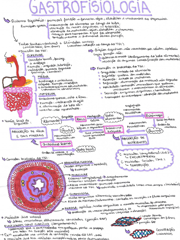 Resumos gastro | PDF