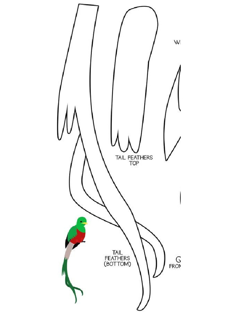 Quetzal | PDF