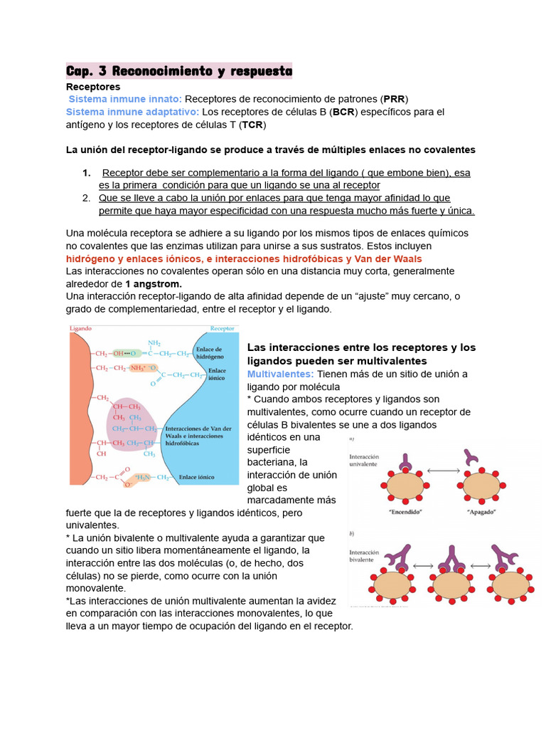 Repaso Inmuno | PDF | Receptor de peaje | Sistema inmune