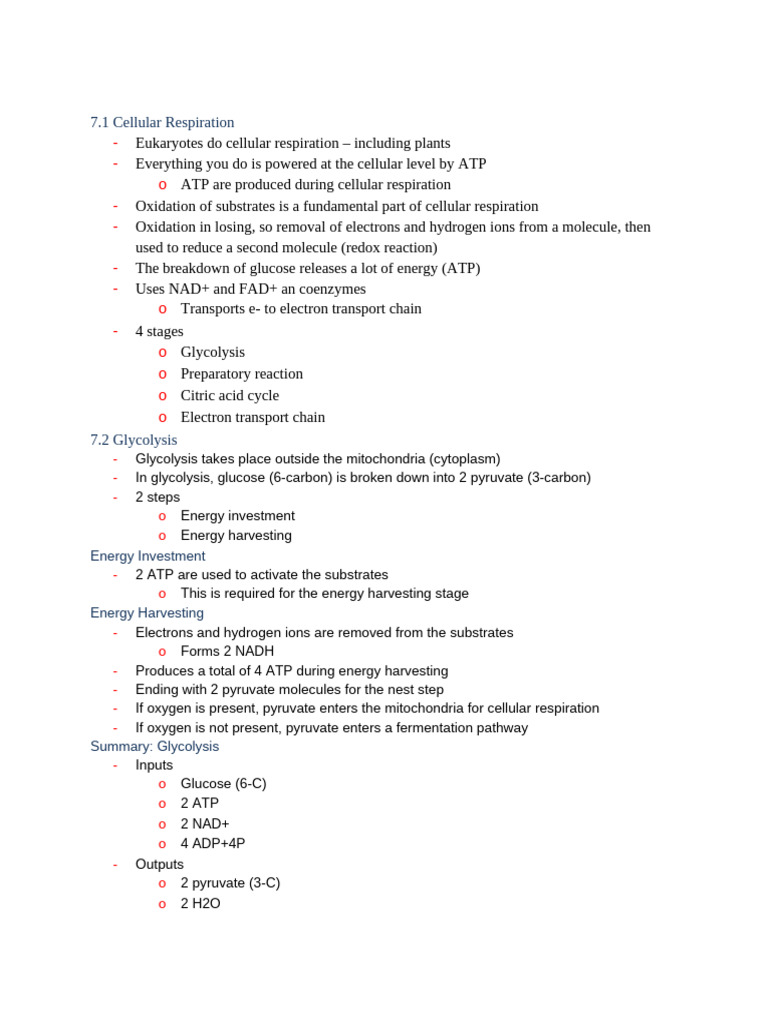 Biology Chapter 7 Notes - Energy For Cells | PDF | Cellular Respiration ...