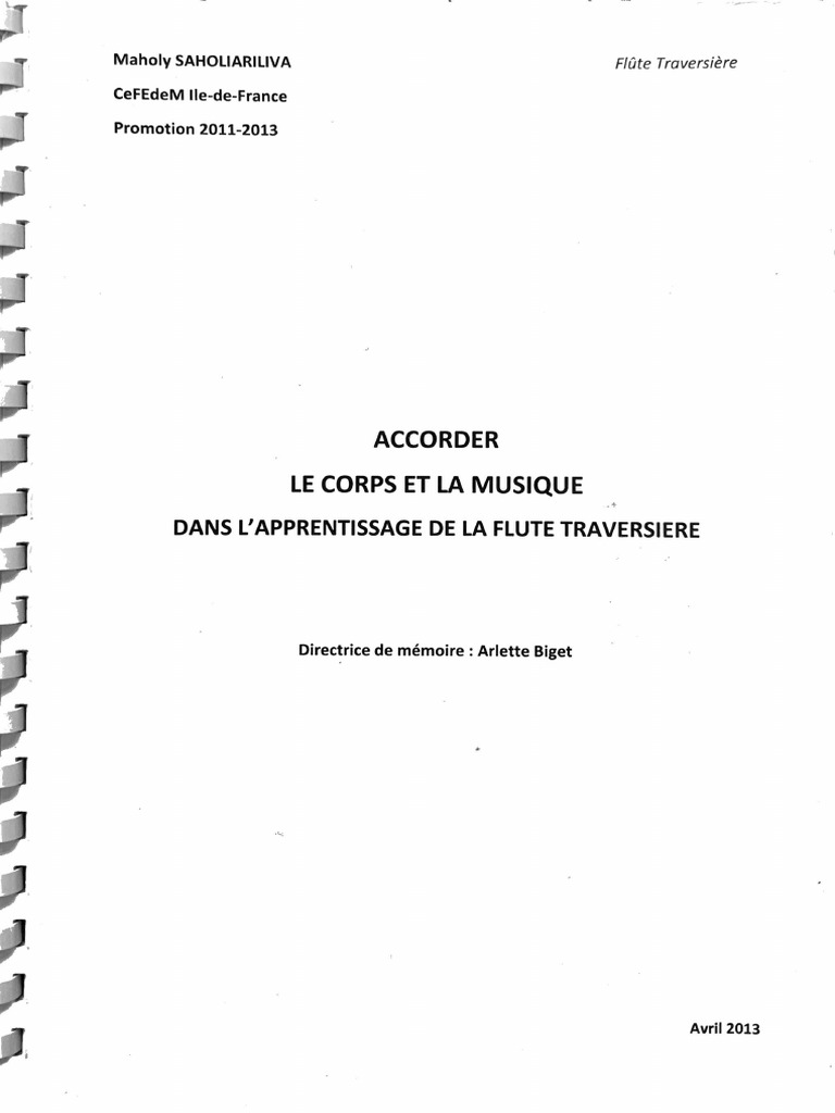 Memoire Pdf