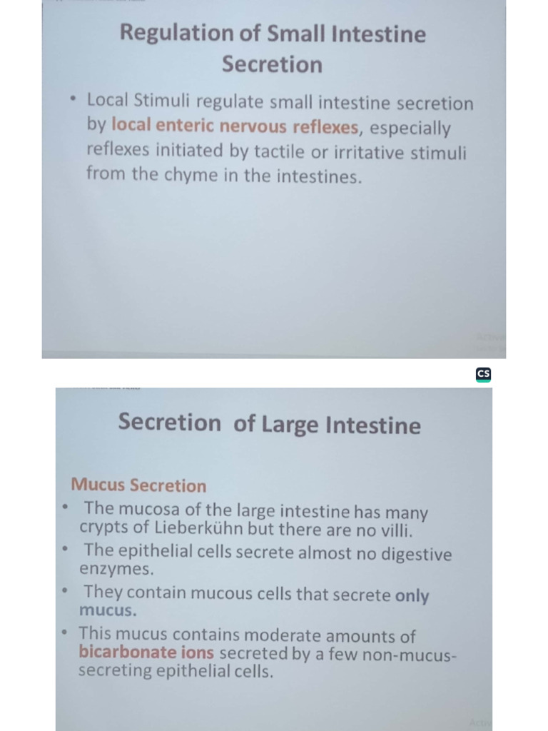 Physiology large intestine and pancreatic secretions | PDF