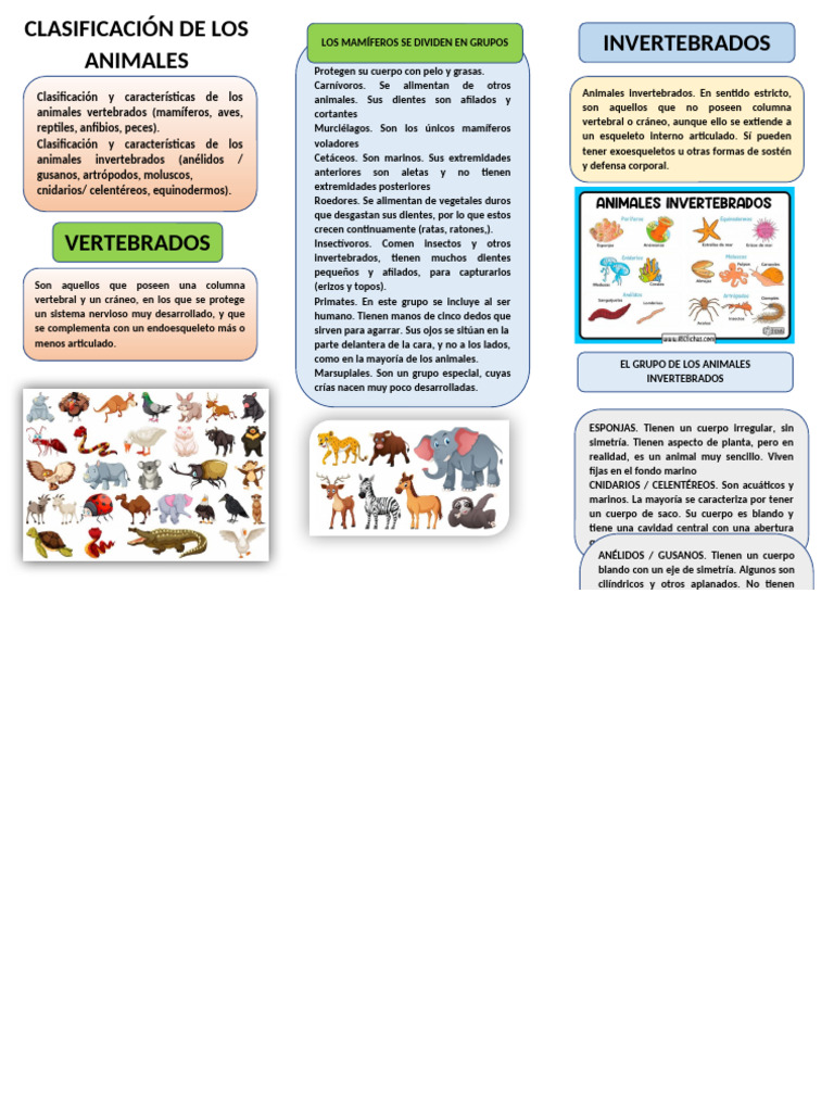 Clasificación de Animales Vertebrados e Invertebrados | PDF ...