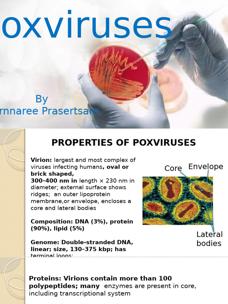 Pox Virus | PDF