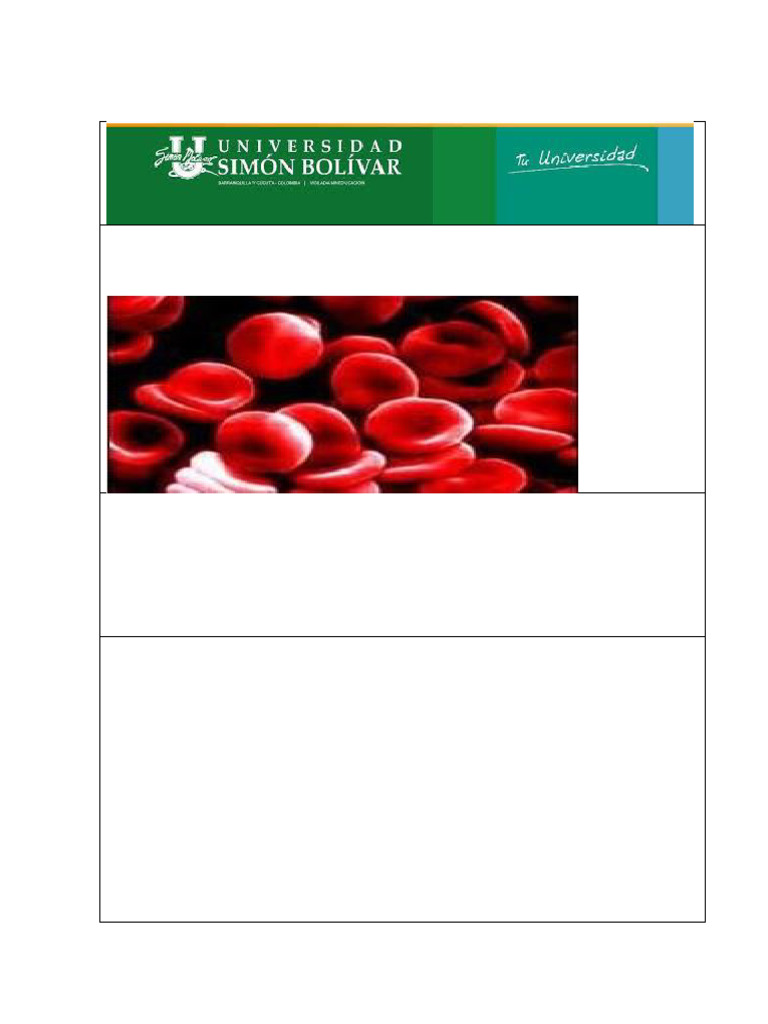 Taller Morfo Sangre | PDF