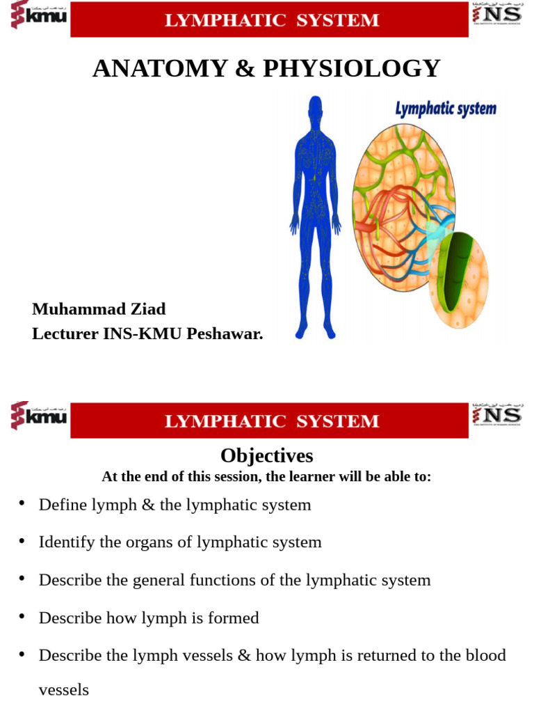 U-9.. (Lymphatic System) | PDF