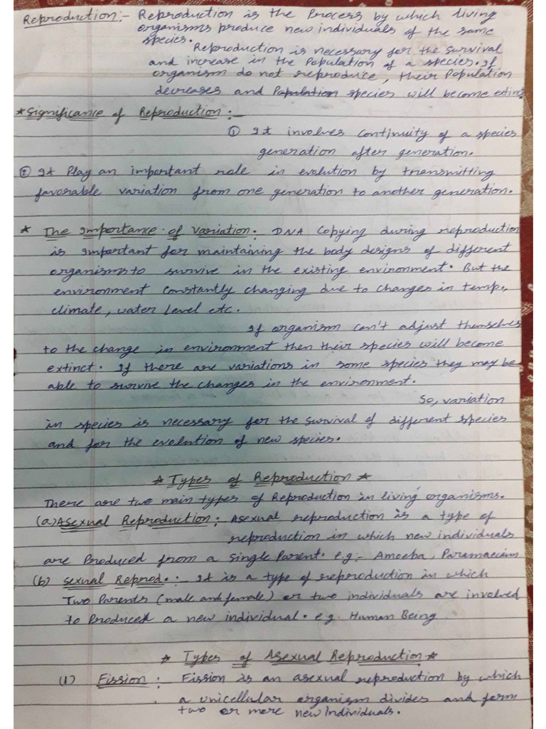 Reproduction Notes Okk | PDF