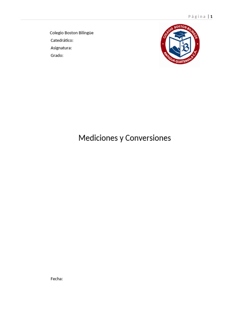 Pre Reporte Fifu | PDF