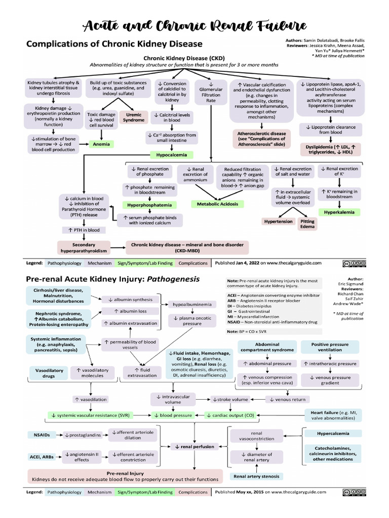 Path o Physiology | PDF