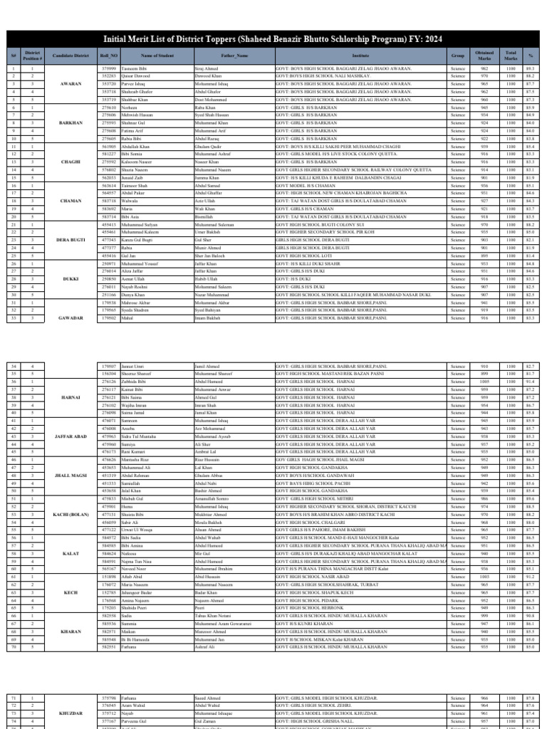 District Toppers Initail Merit List 2024 | PDF