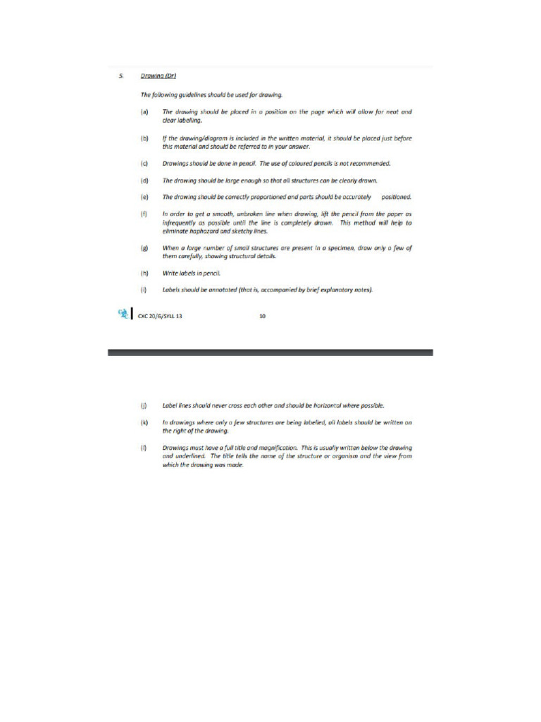 Science Guidelines For Drawing | PDF