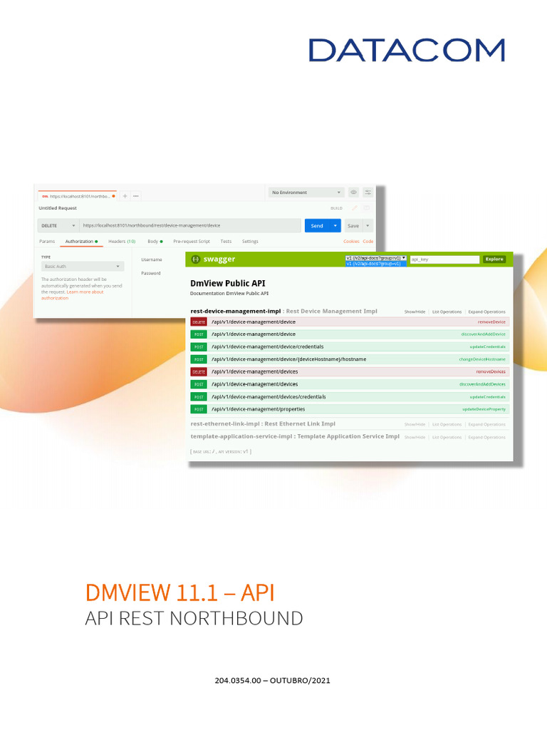 204.0354.00 - DmView-11.1 - API Northbound - PT | PDF