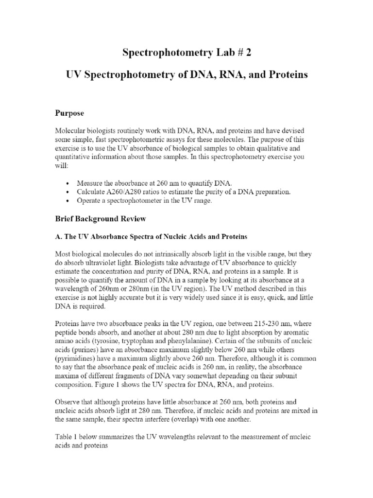 UV Spectrophotometry of DNA, RNA, and Proteins | PDF