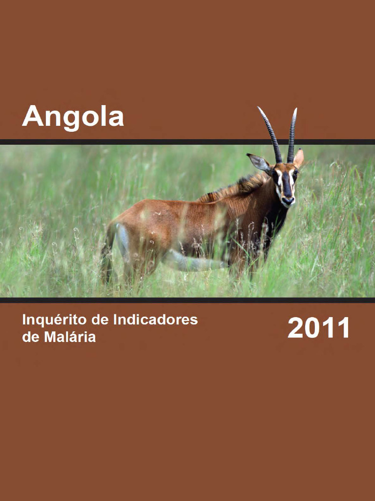 Angola | PDF