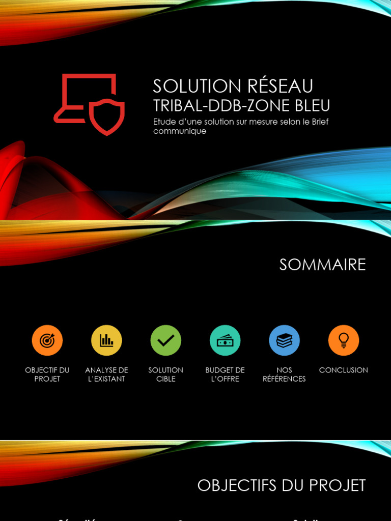 Pre?Sentation Solution Tribal DDB Zone Bleu | PDF