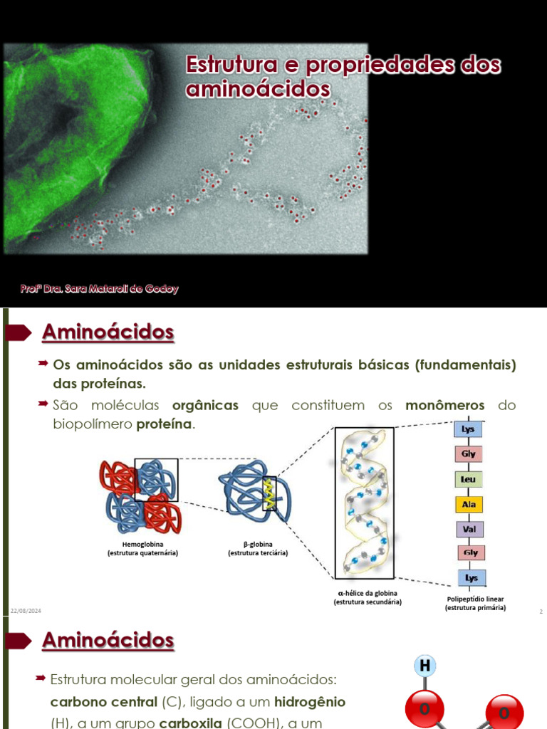 Aula 04 - Estrutura e Propriedades Dos Aminoã¡cidos | PDF