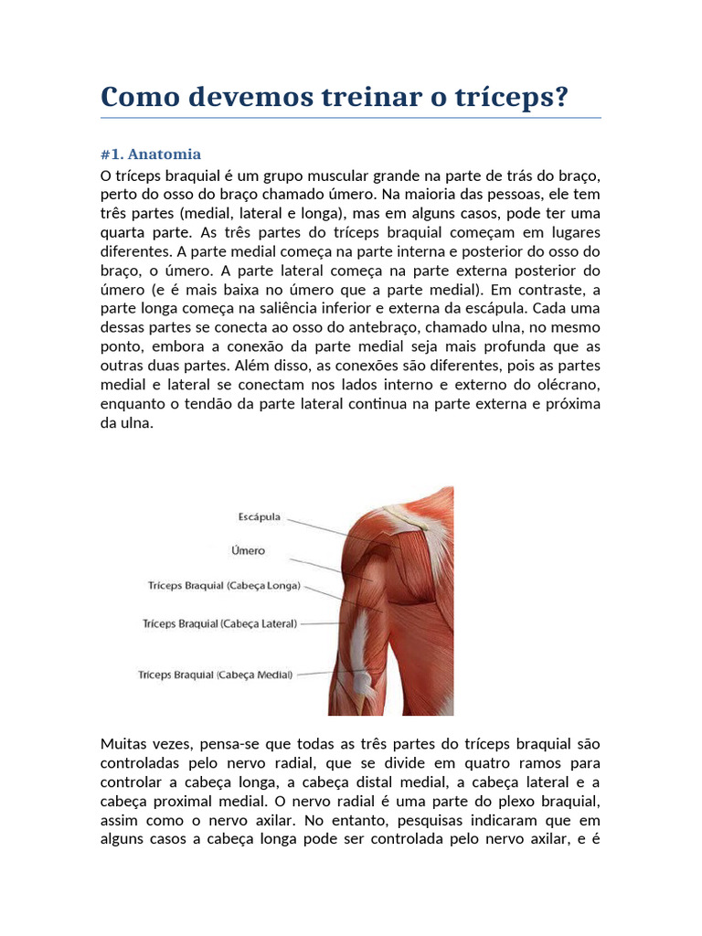 Como devemos treinar o tríceps | PDF