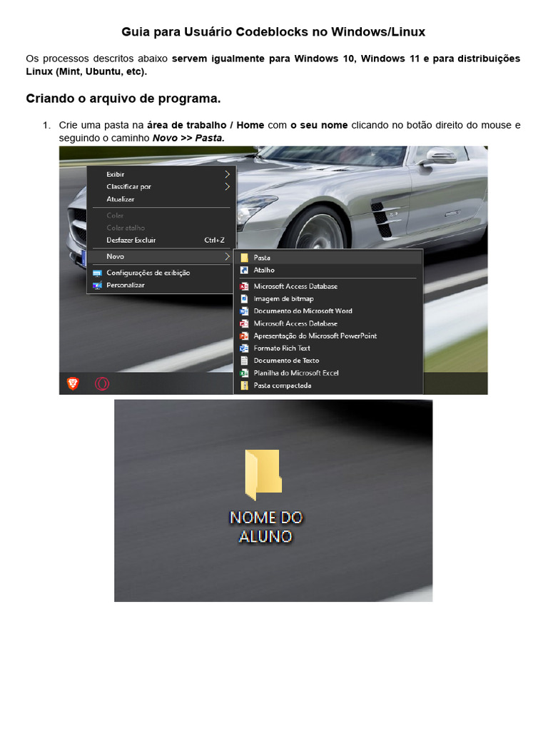 Guia para Usuário Codeblocks | PDF