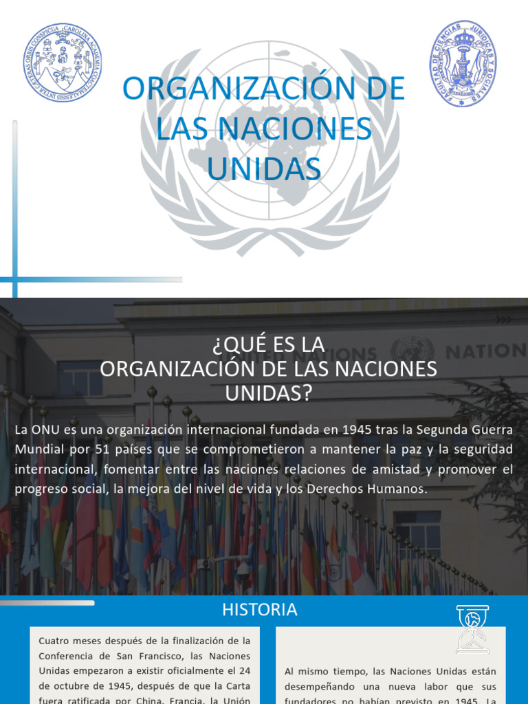 Funciones y Estructura de la ONU | PDF | Naciones Unidas | Relaciones ...