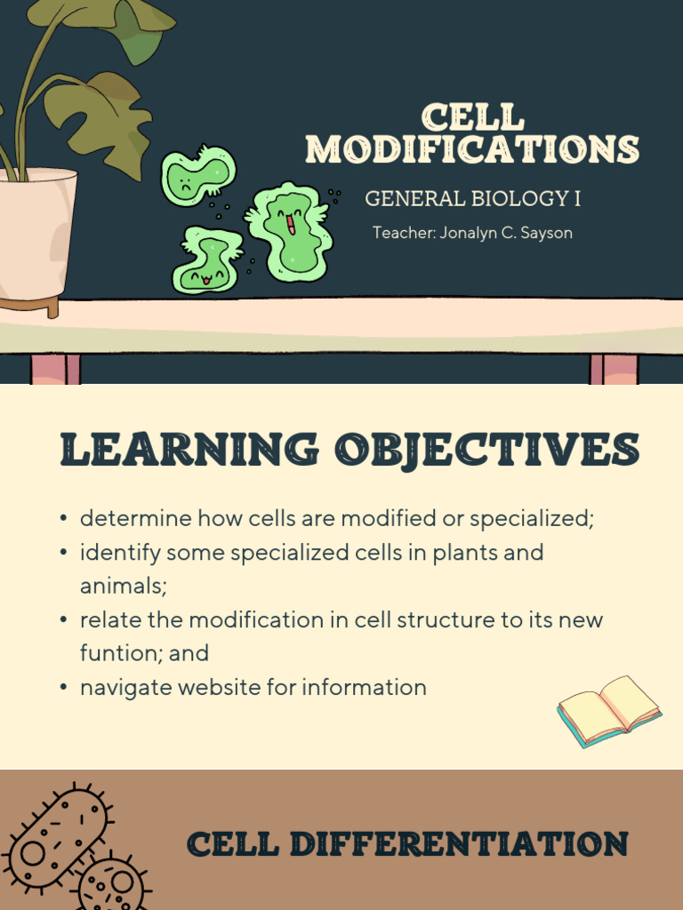 LESSON-5-CELL-MODIFICATIONS | PDF
