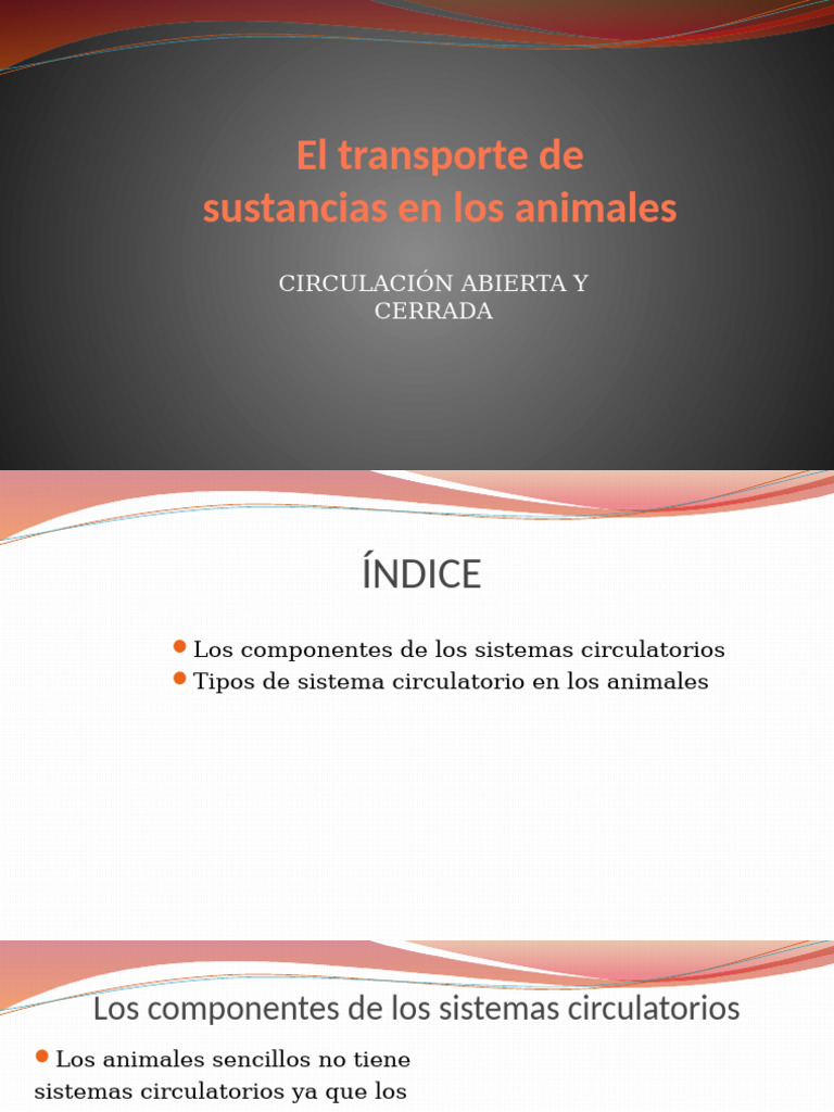 Expo Cyt Tipos de Circulación | PDF