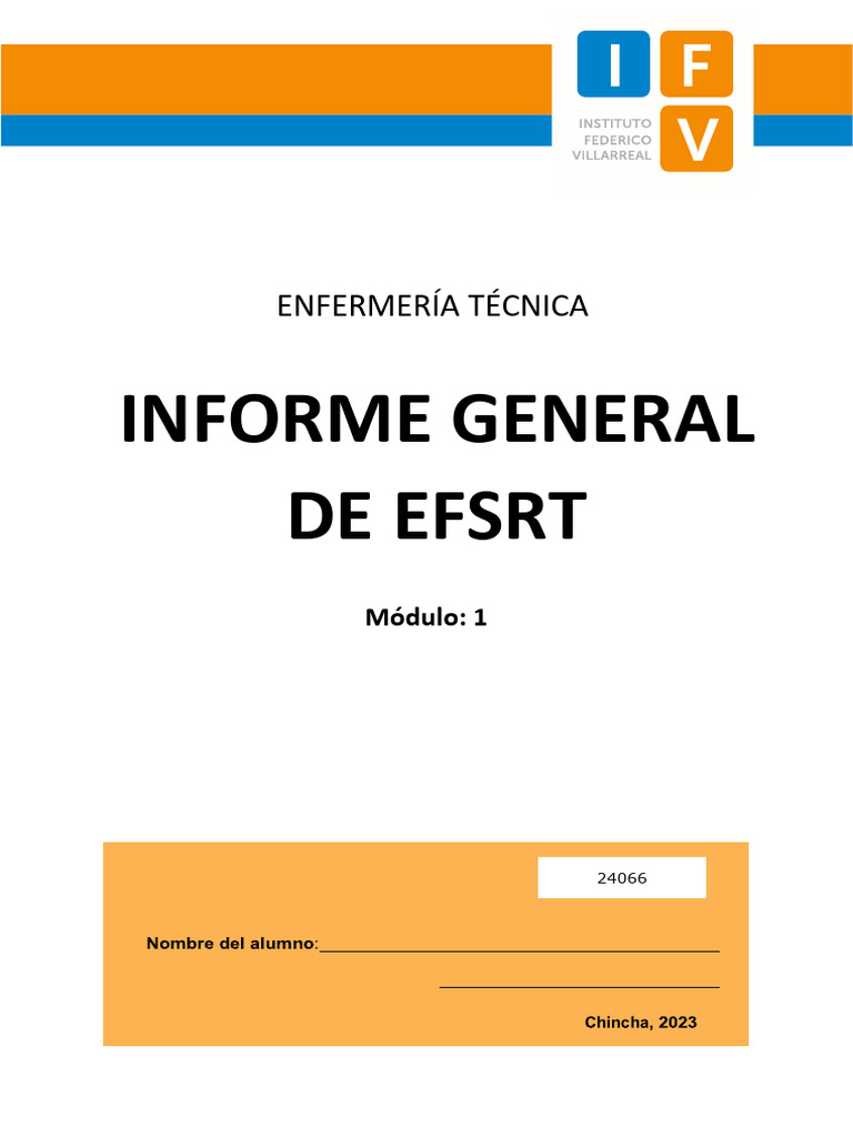 Informe Final 1 | PDF
