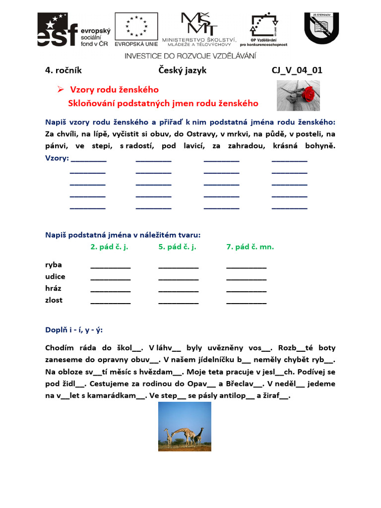 Skolonovani Zensky | PDF