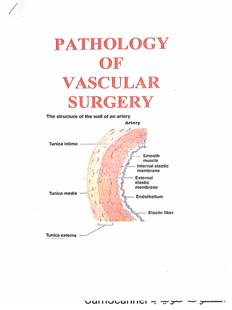 Patho Vascular | PDF