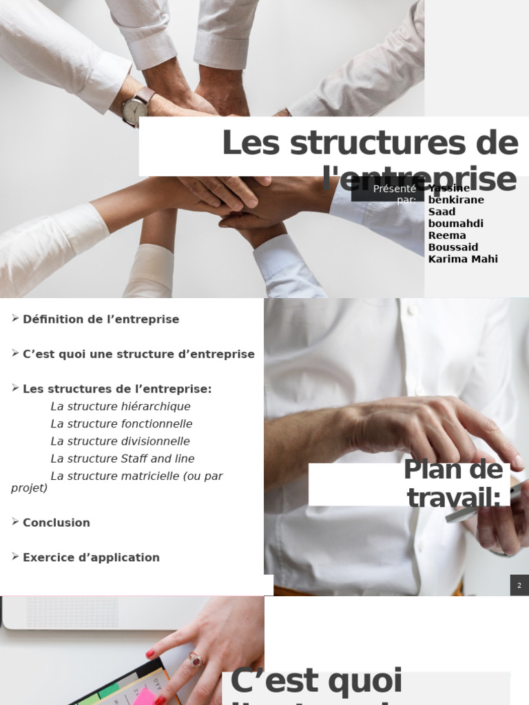 Les Structures de l'Entreprise | PDF