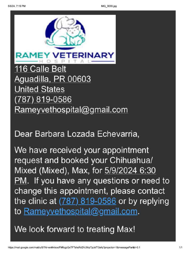 Vet Visit | PDF