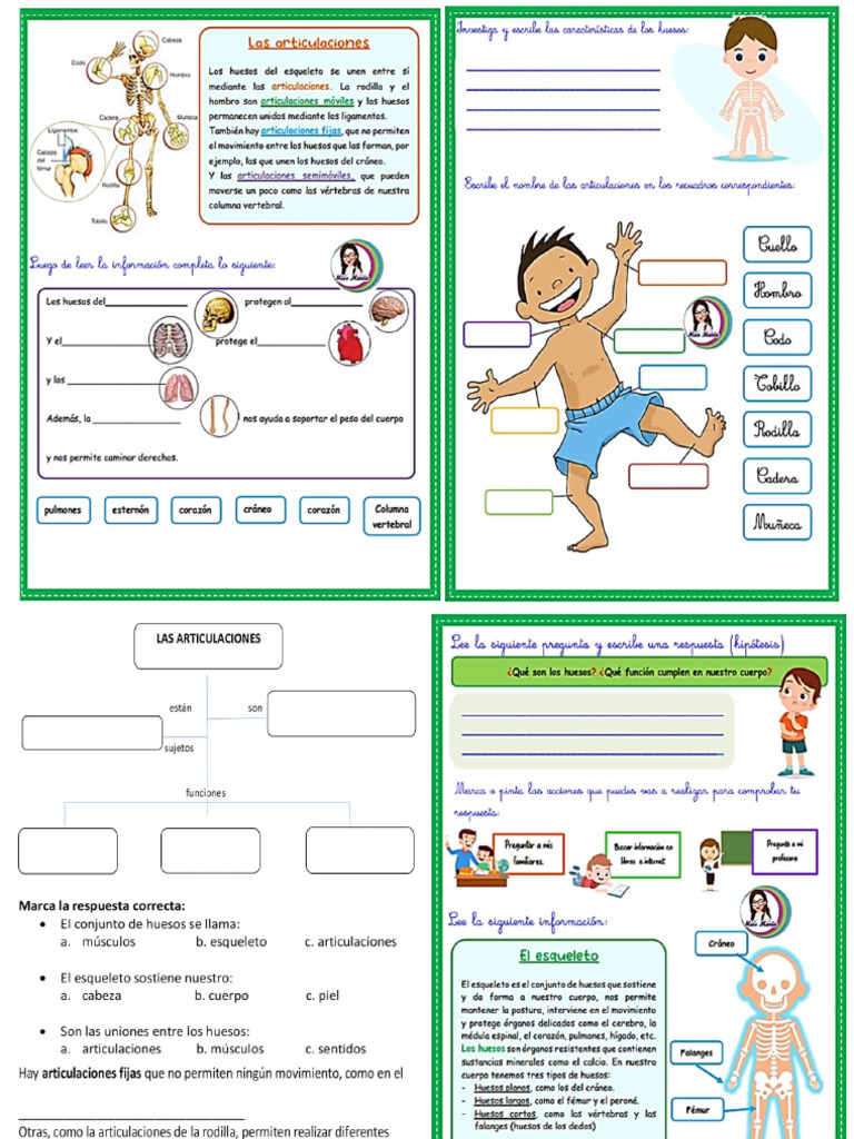 Ficha de Articulaciones 2B | PDF