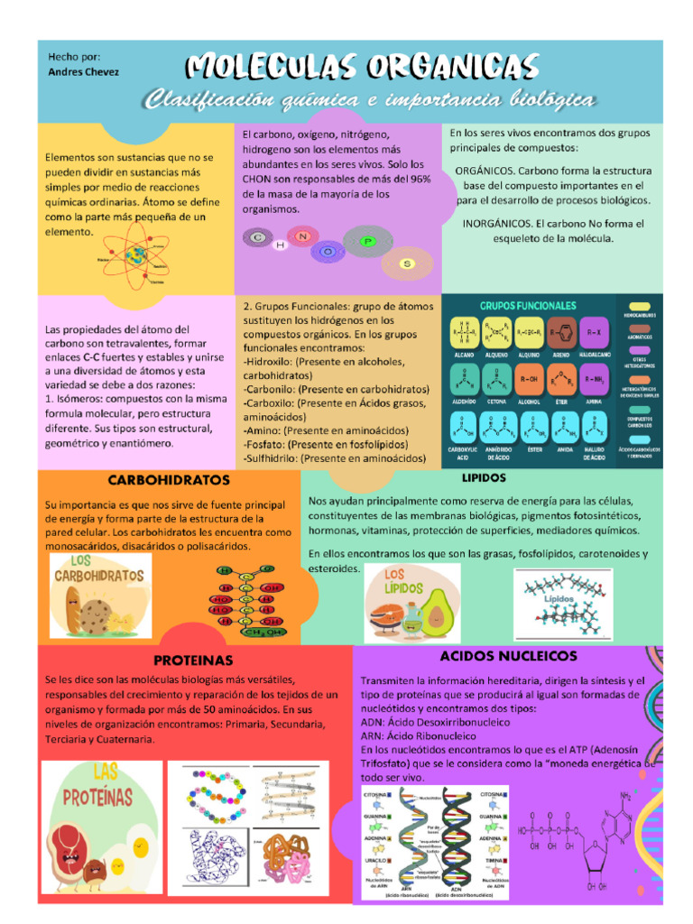 Moleculas Organicas | PDF