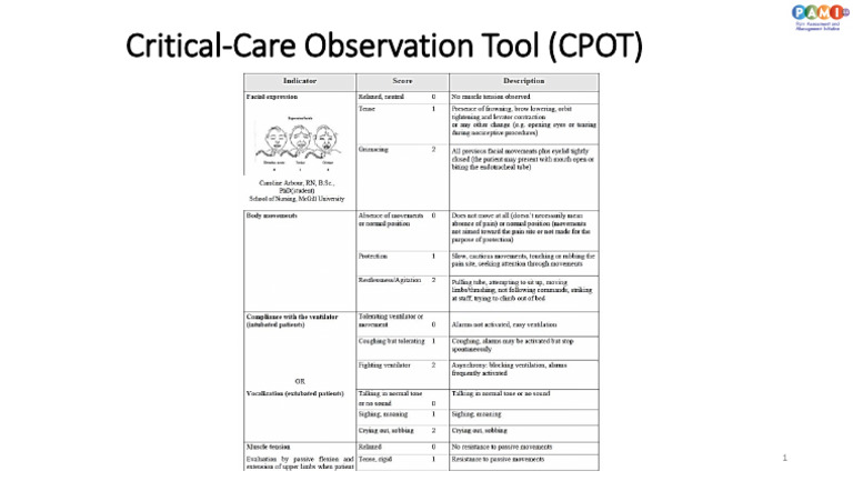 Critical Care Observation Tool | PDF