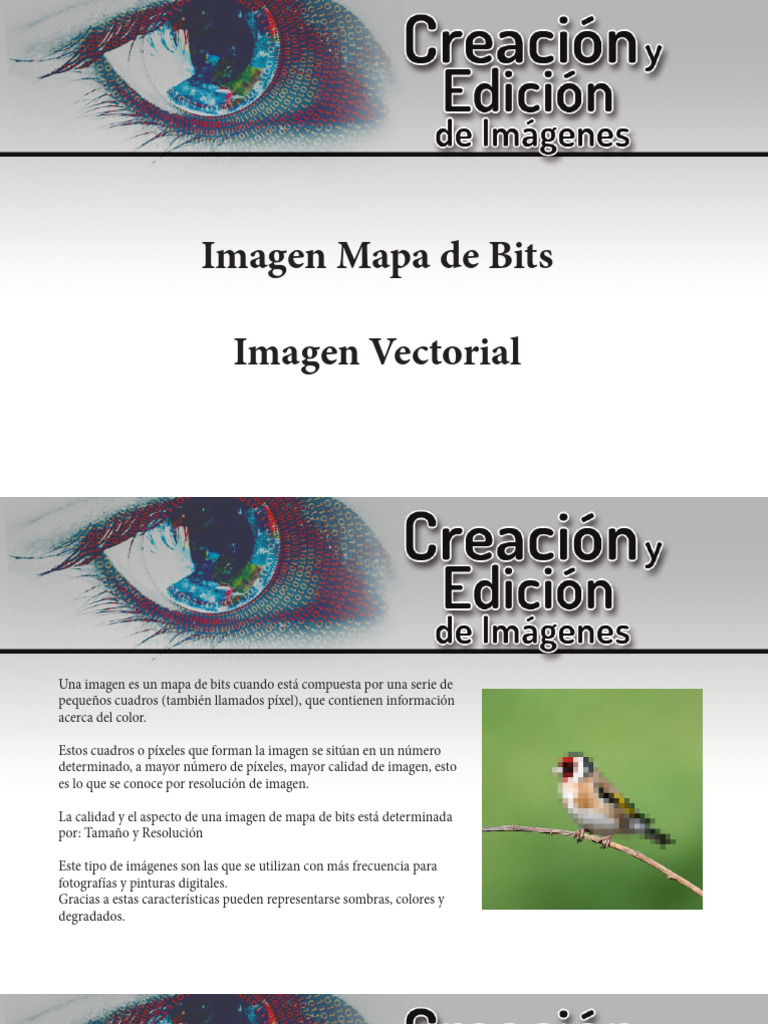 Mapa de Bit Vectores | PDF | Píxel | Arte