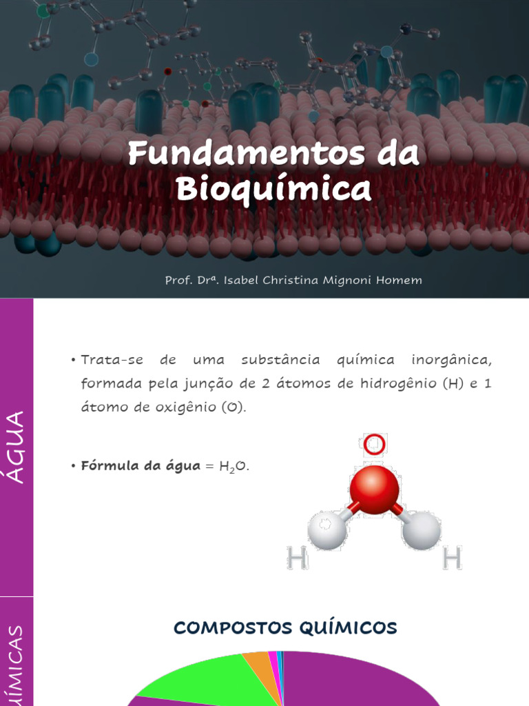 Bioqu Mica - Aula 2 - Gua | PDF