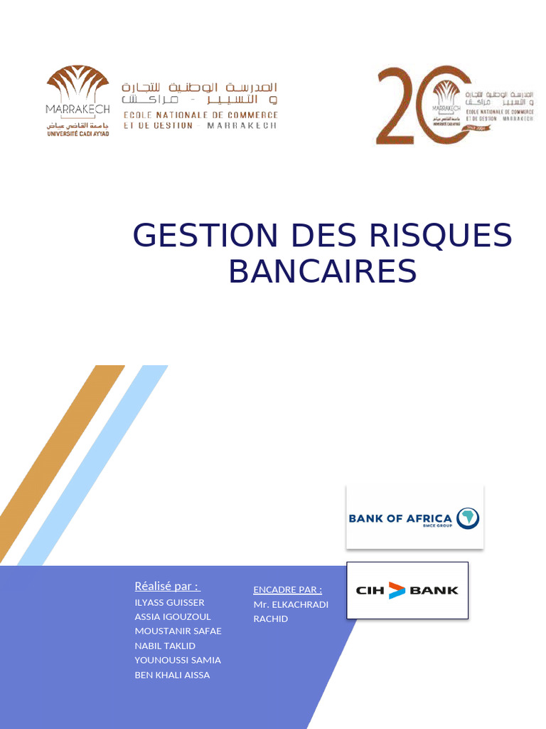 RAPPORT_RISQUE_BANCAIRE VERSION FINALE | PDF