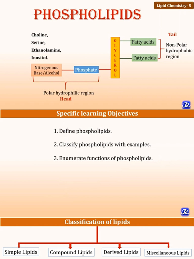 Phospholipids | PDF