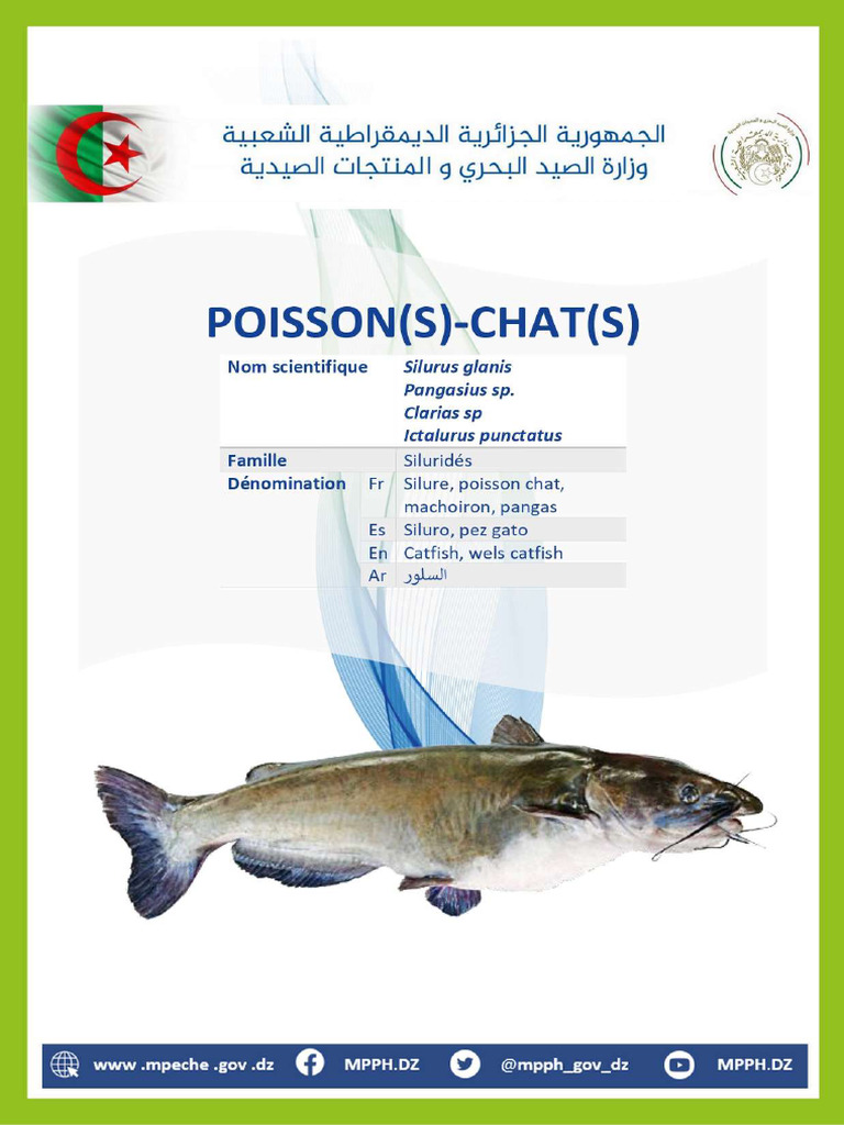 Fiche POISSONS CHATS | PDF