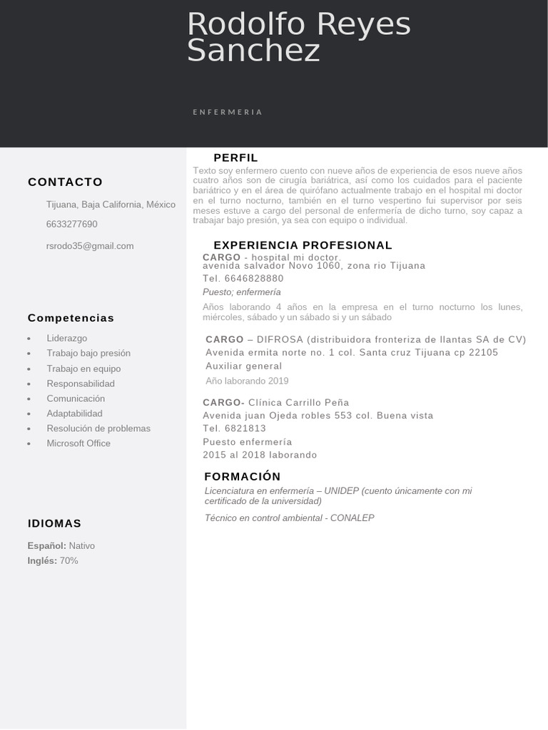 Curriculum Rodolfo Reyes Sanchez | PDF