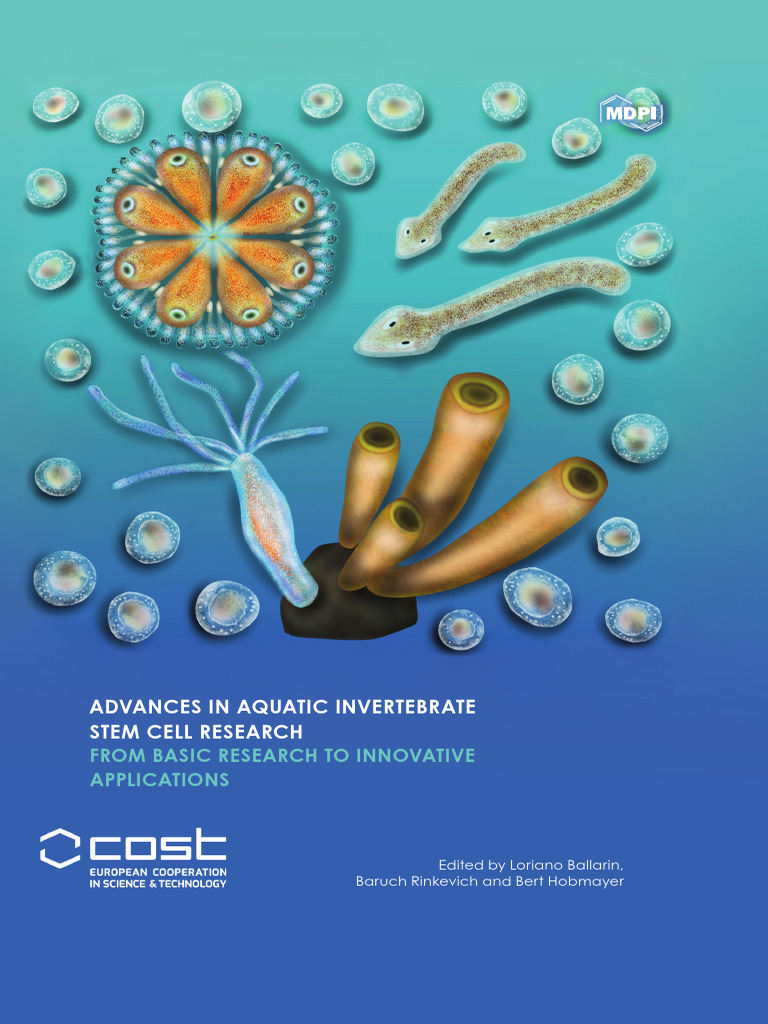Advances in Aquatic Invertebrate Stem Cell Research: From Basic ...