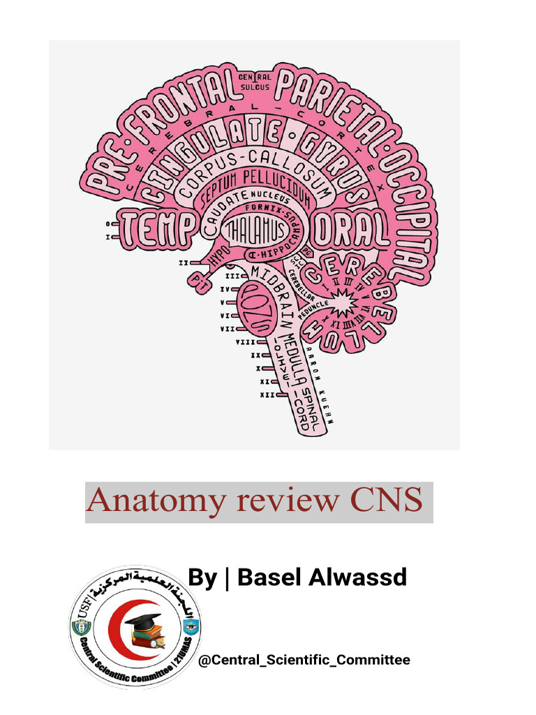 ملخص اناتومي على شكل جداول cns ⁩ | PDF