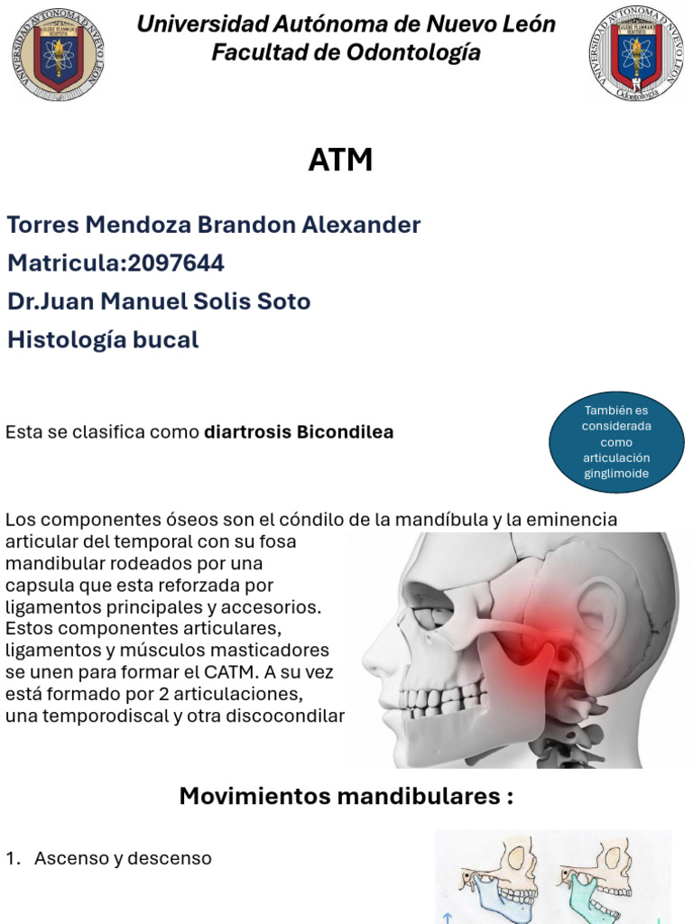 Presentaación de ATM | PDF